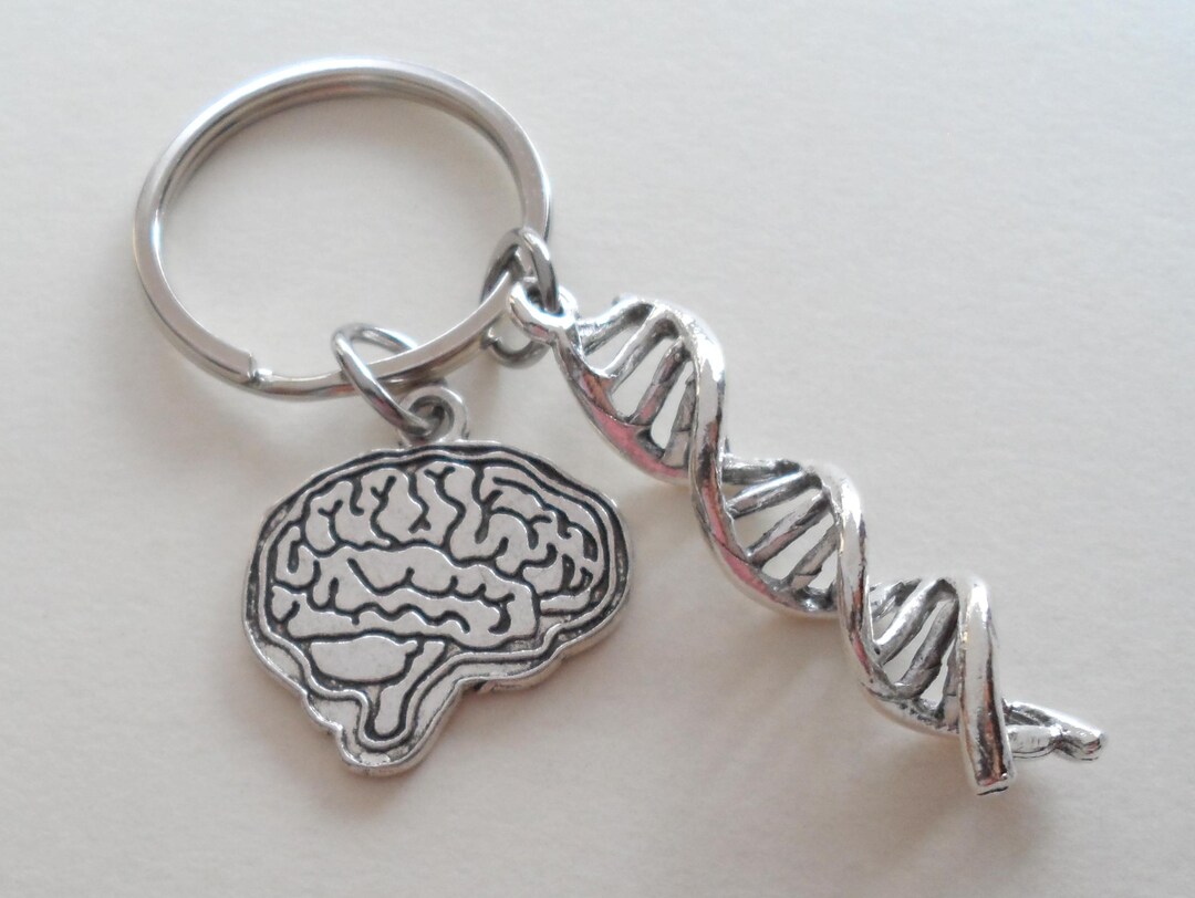 DNA Molecule Double Helix Keychain With Brain Charm, Science Keychain ...