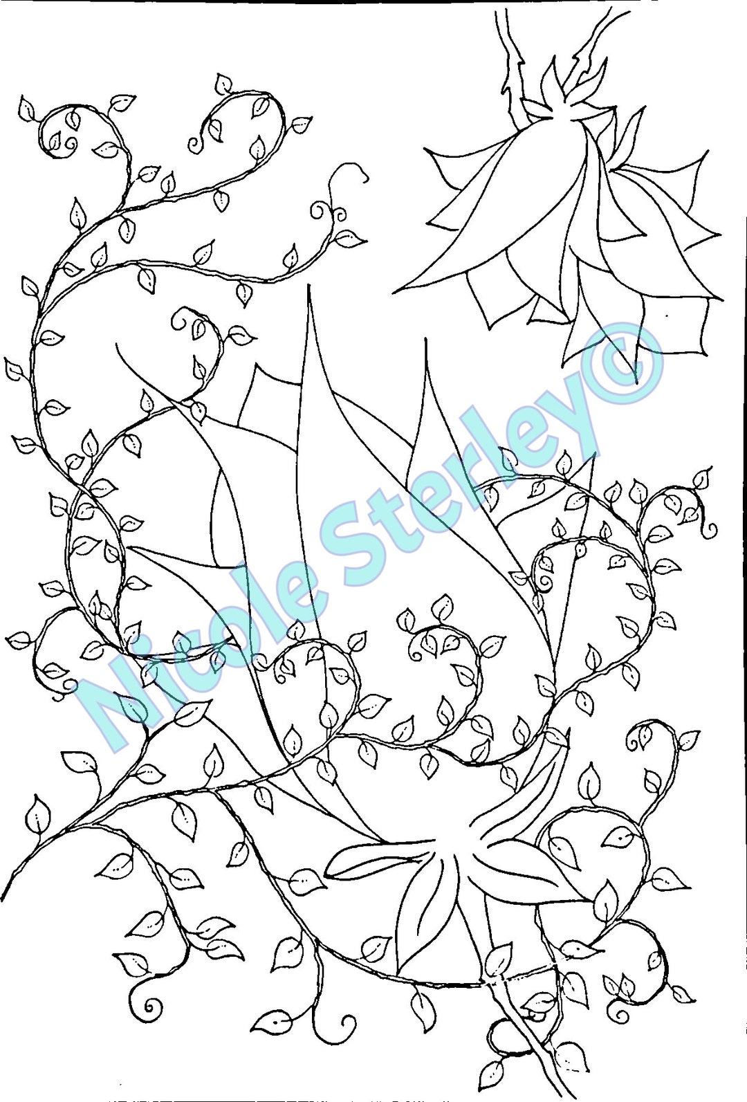 Vines Printable Adult Colouring Page Instant Download - Etsy