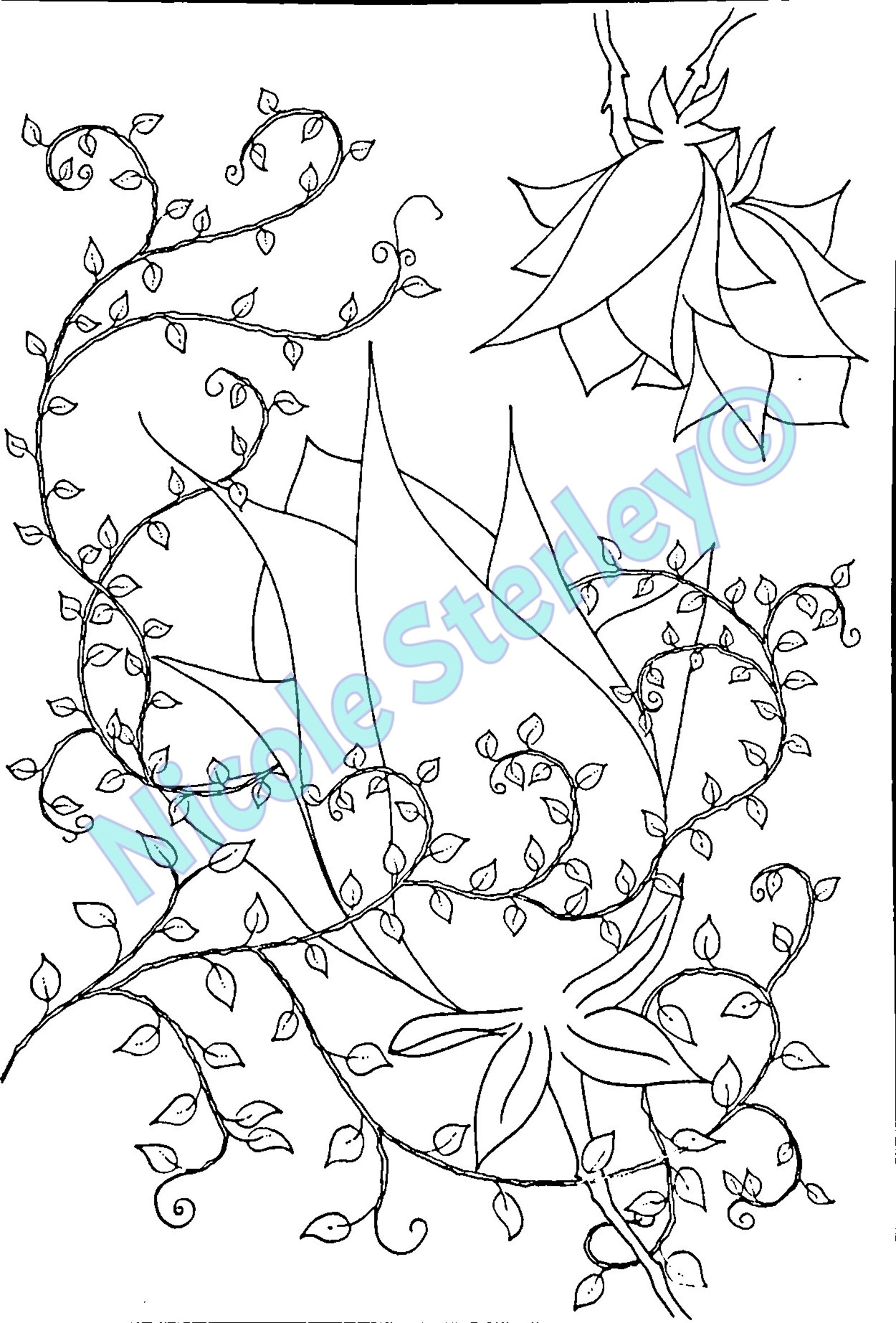 Vines - Printable Adult Colouring Page - Instant Download Adult ...