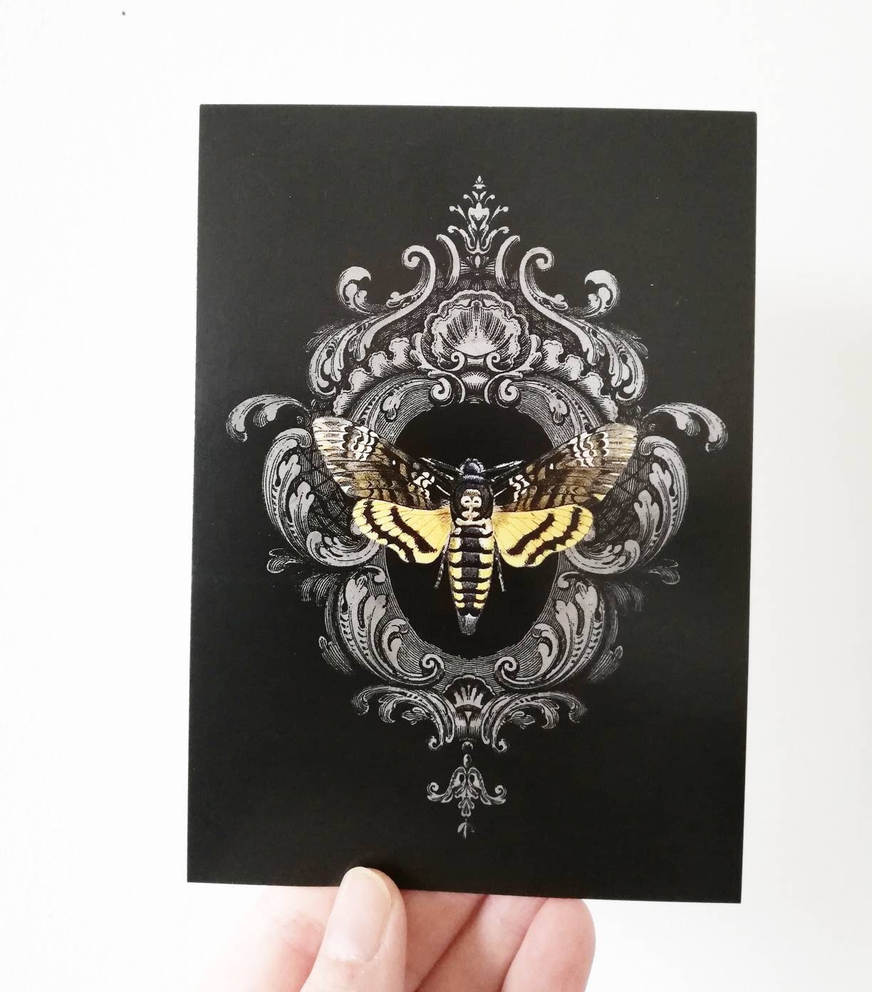 Death Moth Print Death Moth Art Gothic Print Gothic Decor - Etsy UK