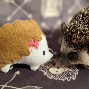 Muffin the Mint Stuffed Hedgehog Toy - Etsy