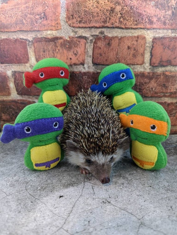 Ninja Turtle Warriors Chibi Kawaii Mint Stuffed Hedgehog Toy - Etsy