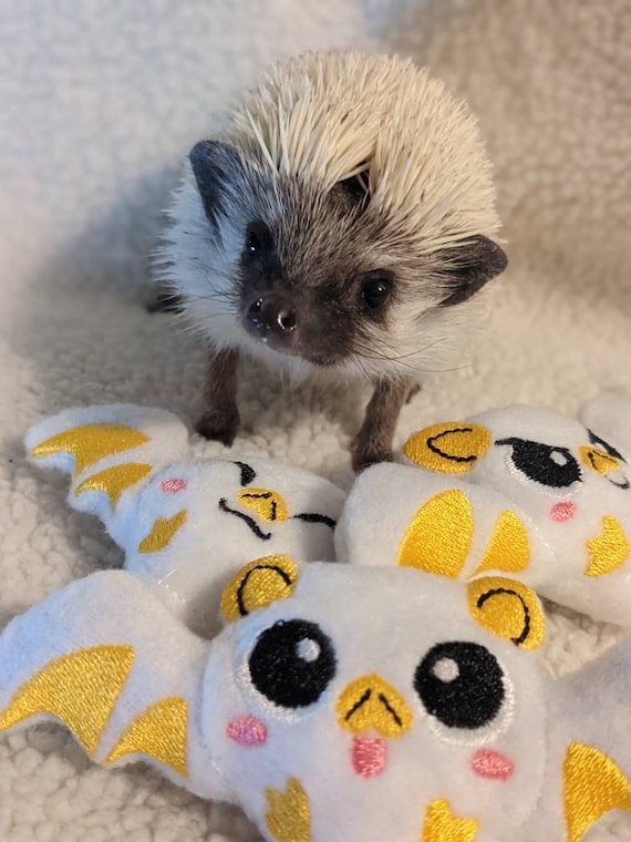 Batty Brothers Honduran White Bat Mint Stuffed Hedgehog Toy | Etsy