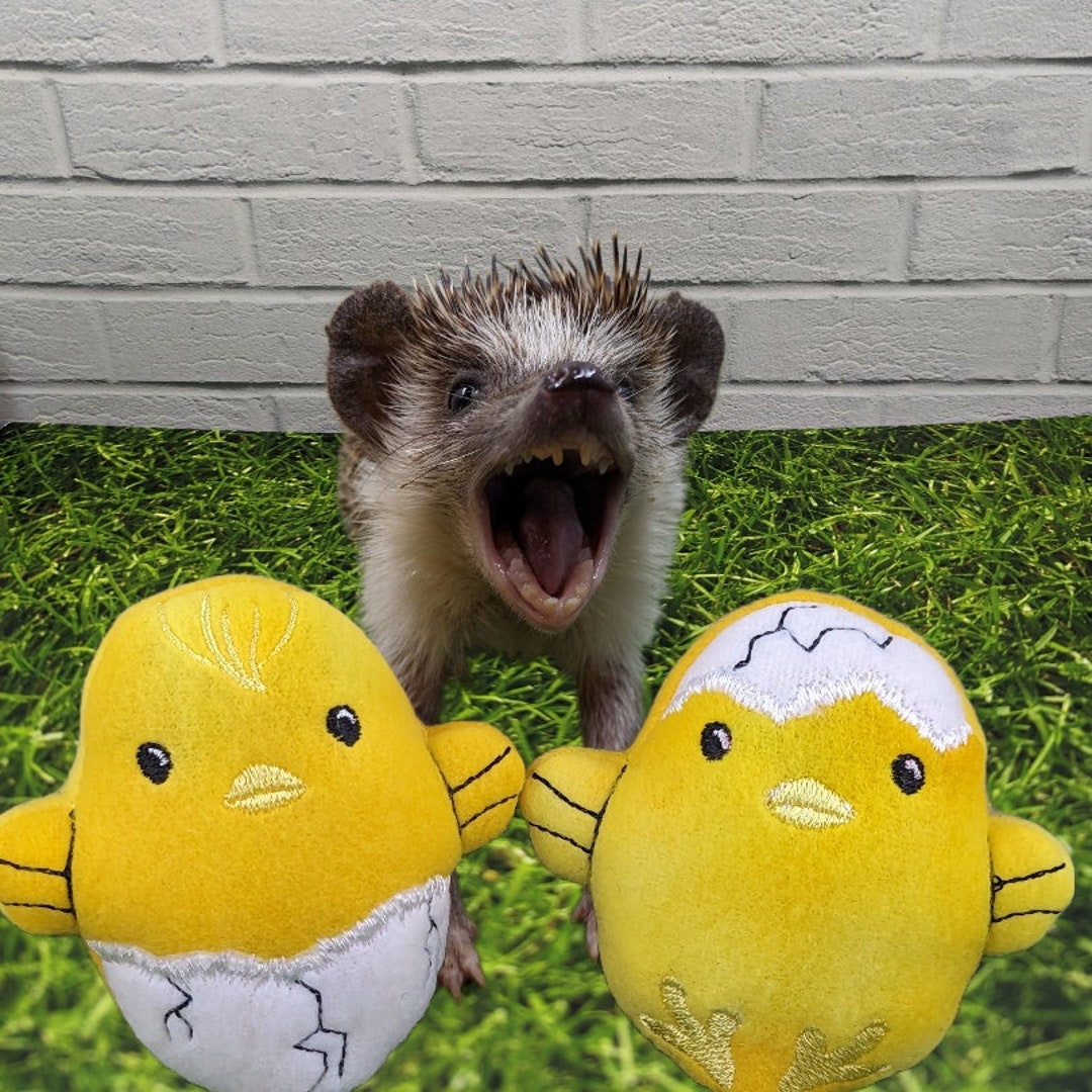 Chicken Baby Easter Chicks Mint Stuffed Fleece Hedgehog Toy Small ...