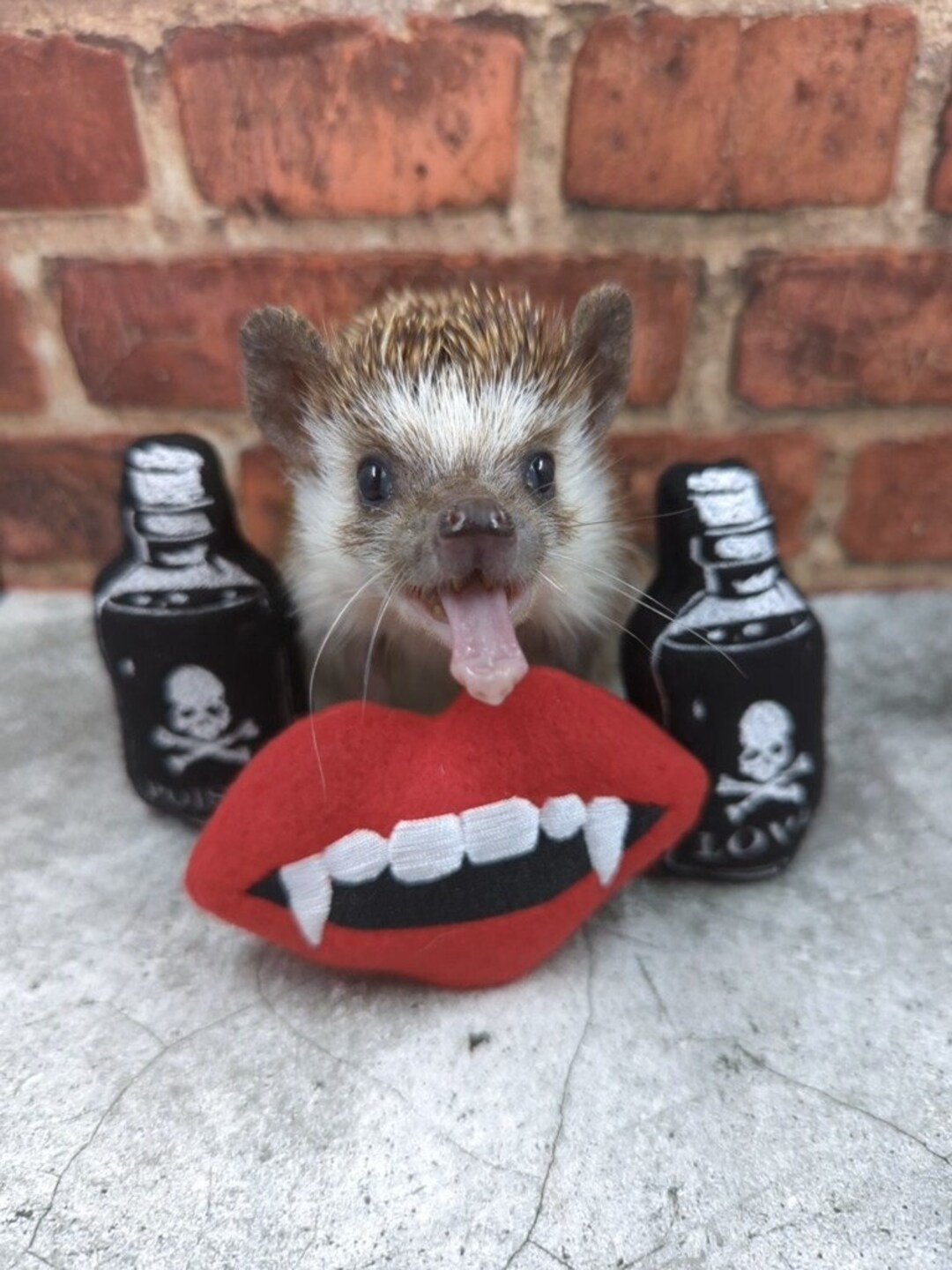 Vampire Fangs Potion Poison or Love Bottle Halloween Mint Stuffed ...
