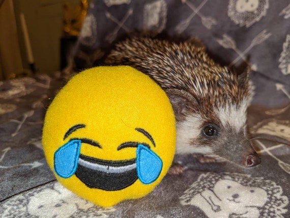 Laughing Crying Emoji Mint Stuffed Hedgehog Toy | Etsy