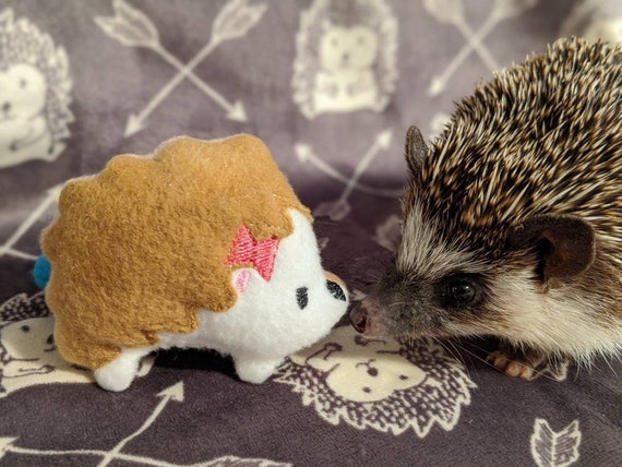 Muffin the Mint Stuffed Hedgehog Toy - Etsy