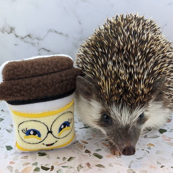 My Coffee Buddy Mug - Etsy