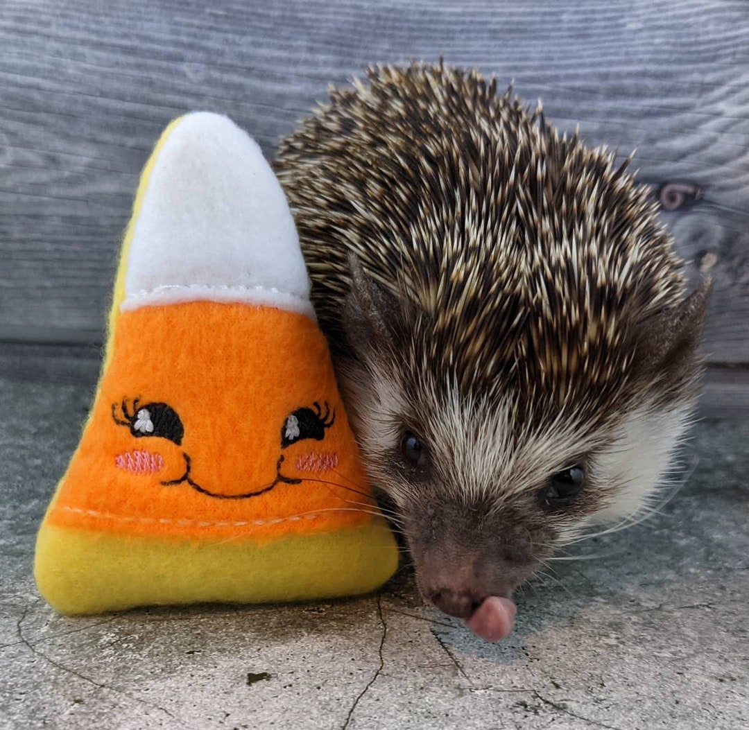 Chibi Candy Corn Kawaii Mint Stuffed Hedgehog Toy Small Animal Cage ...