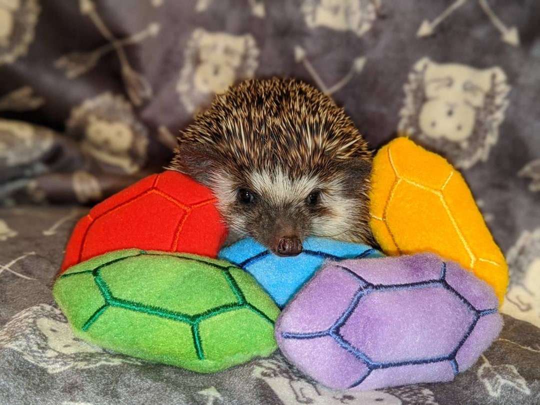 Rainbow Gems Mint Stuffed Hedgehog Toss Toy Small Animal Cage Buddy - Etsy