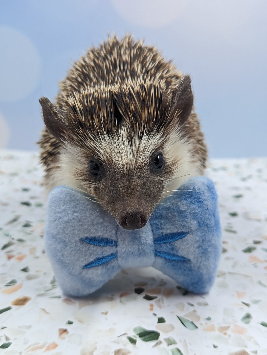 Bowtie Fleece Mint Stuffed Hedgehog Toy Cage Buddy Enrichment Decor ...