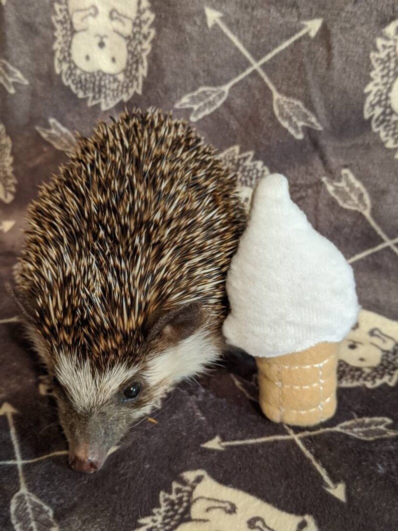 Pickle and Ice Cream Mint Stuffed Hedgehog Toy Small Animal Cage Buddy ...