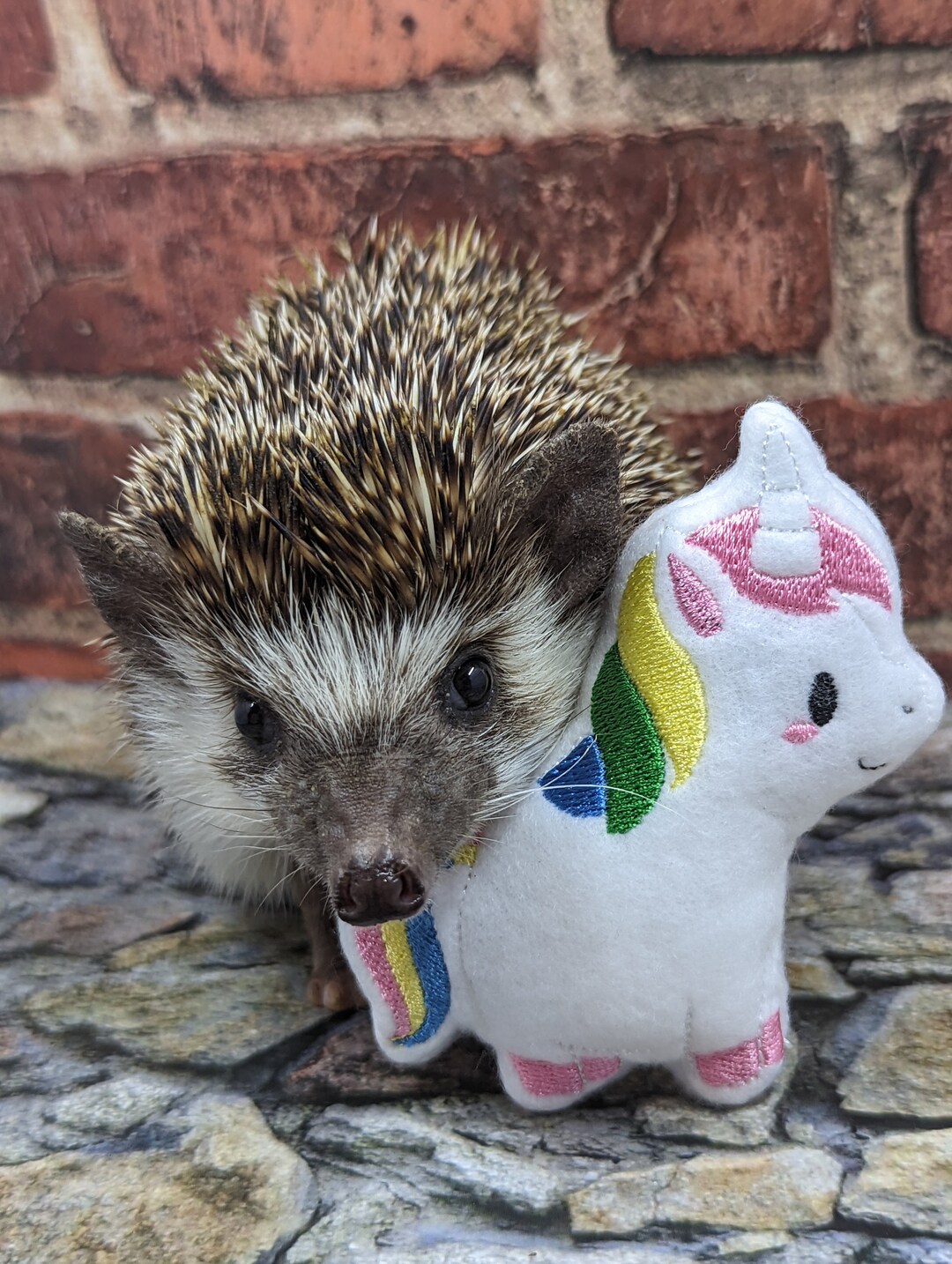 Unicorn Kawaii Mint Stuffed Hedgehog Toy Small Animal Cage Buddy Cage ...