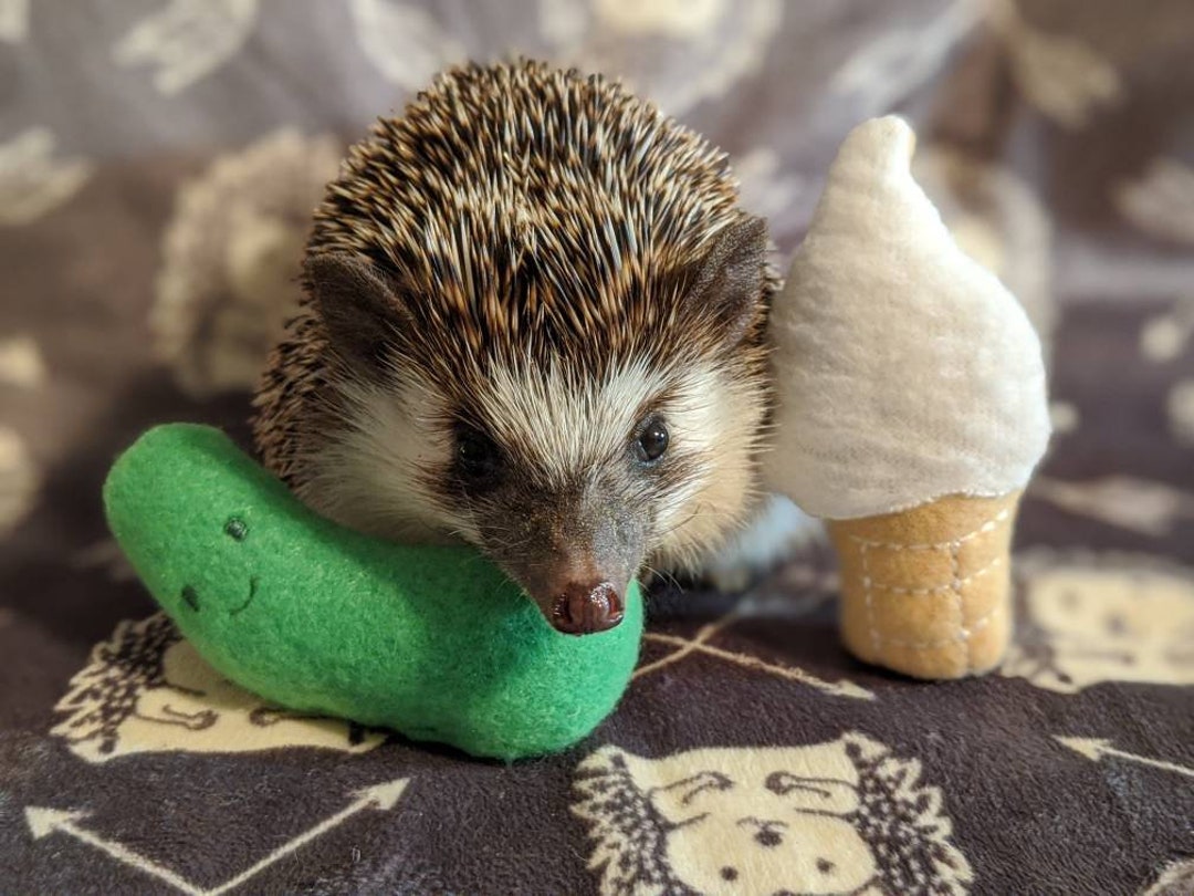 Pickle and Ice Cream Mint Stuffed Hedgehog Toy Small Animal Cage Buddy ...