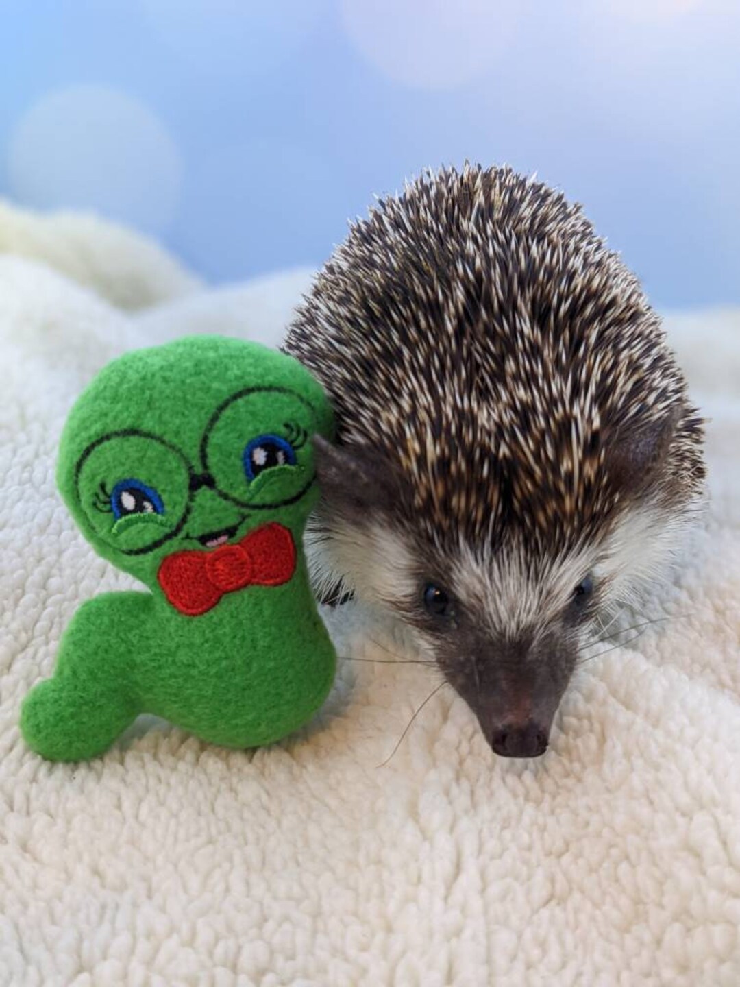 Brooks the Bookworm Mint Stuffed Hedgehog Toy Cage Buddy - Etsy