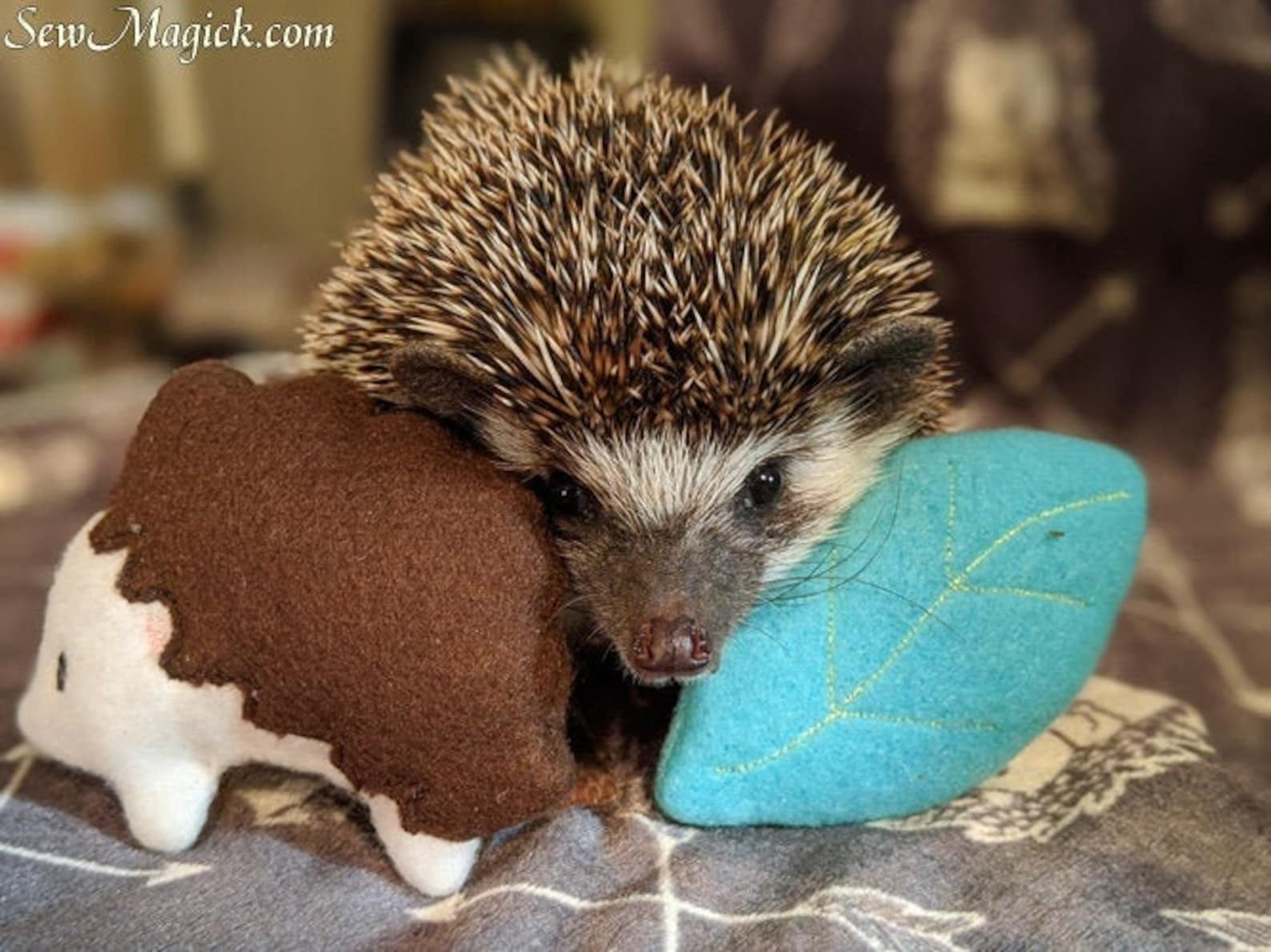Mint Stuffed Hedgehog Toy - Etsy