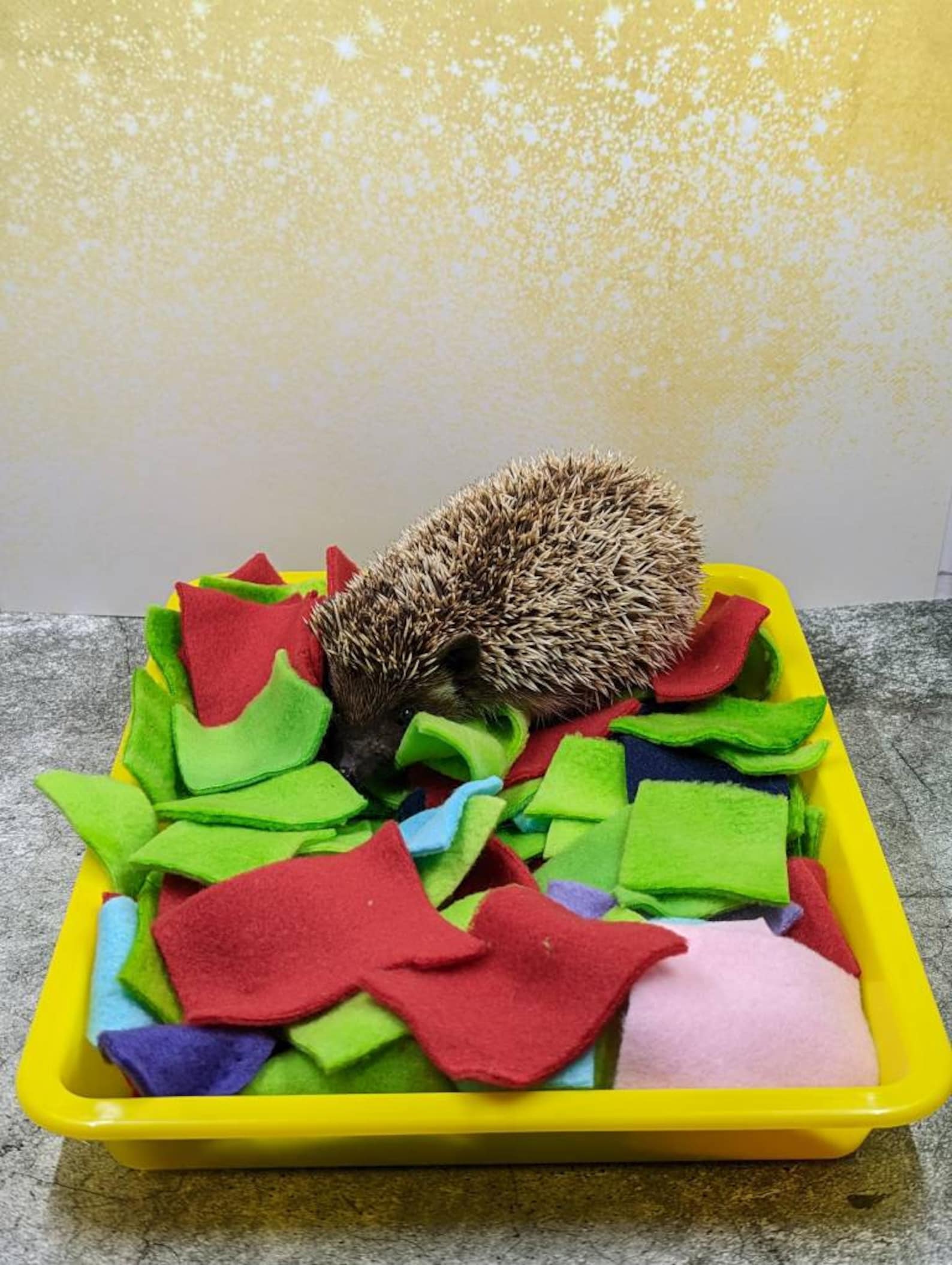 Hedgehog Dig Box Forage Enrichment Activity Cage Clutter Hedgie Toy - Etsy