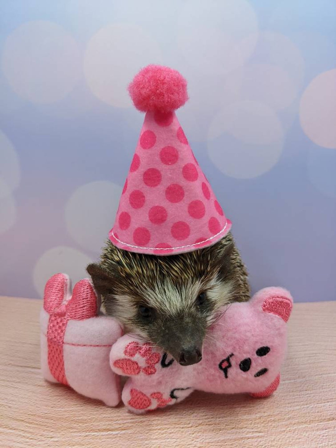 Pink Teddy Bear Party Box Birthday Gotcha Day Adoption Day Celebration ...