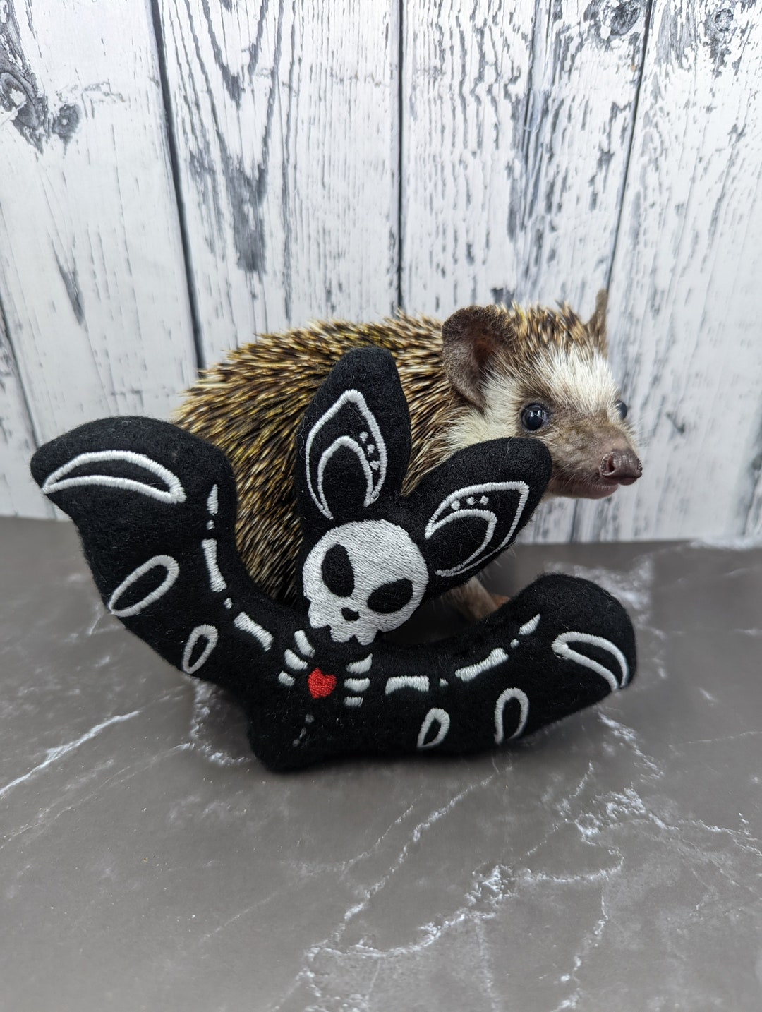 Skeleton Glow in the Dark Bat Mint Stuffed Hedgehog Toy Small Animal ...