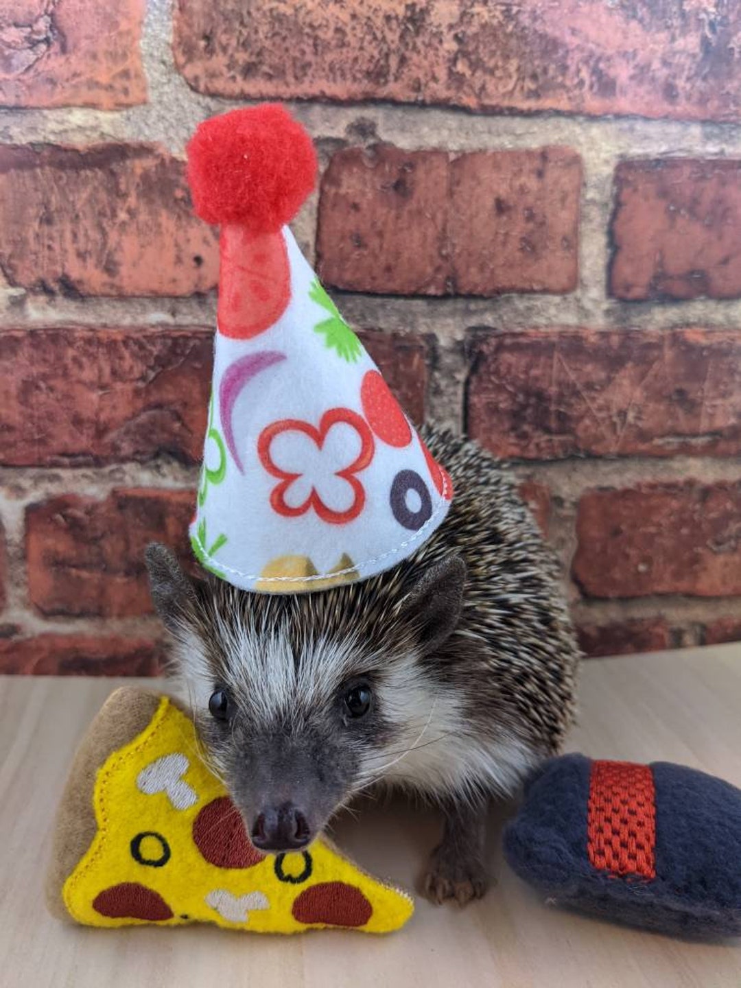 Pizza Party Box Birthday Gotcha Day Adoption Day Celebration Mint ...