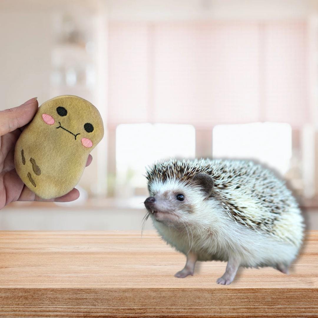 Emotional Support Potato Kawaii Chibi Fleece Mint Stuffed Hedgehog Toy ...