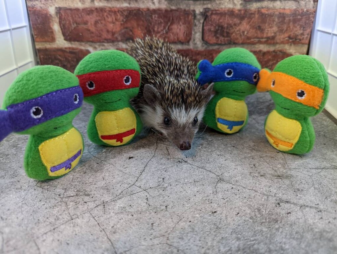 Ninja Turtle Warriors Chibi Kawaii Mint Stuffed Hedgehog Toy Small ...