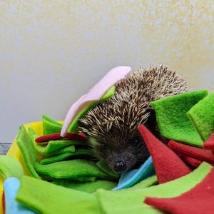 Hedgehog Dig Box Forage Enrichment Activity Cage Clutter Hedgie Toy - Etsy