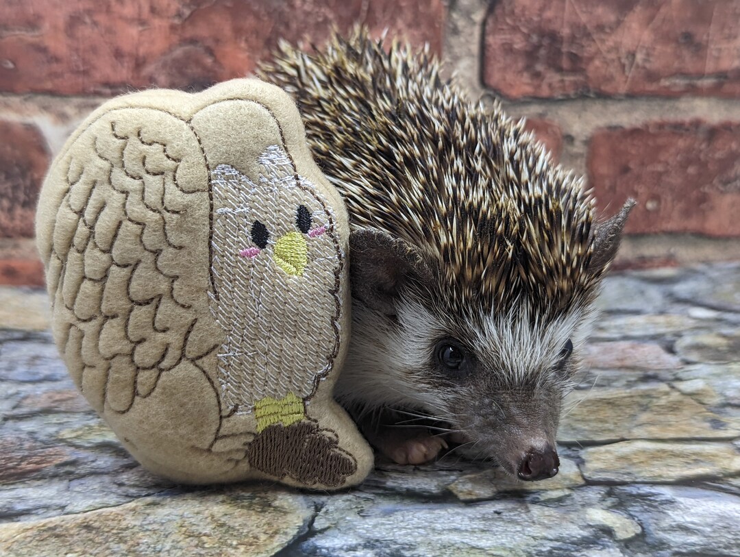 Griffin Chibi Mint Stuffed Hedgehog Toy Small Animal Cage Buddy Cage ...