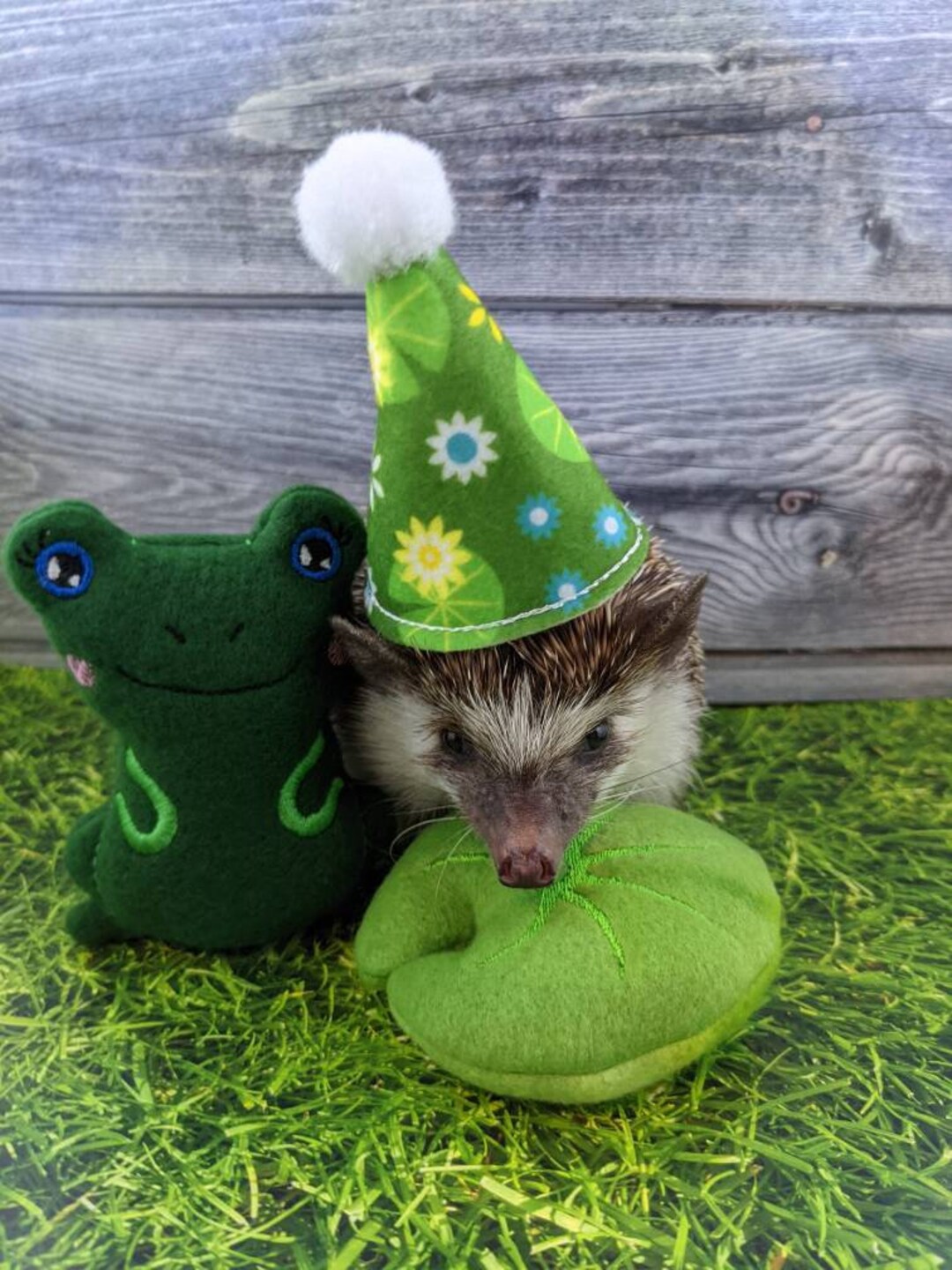 Hoppy the Frog and Lilypad Party Box Birthday Gotcha Day Adoption Day ...