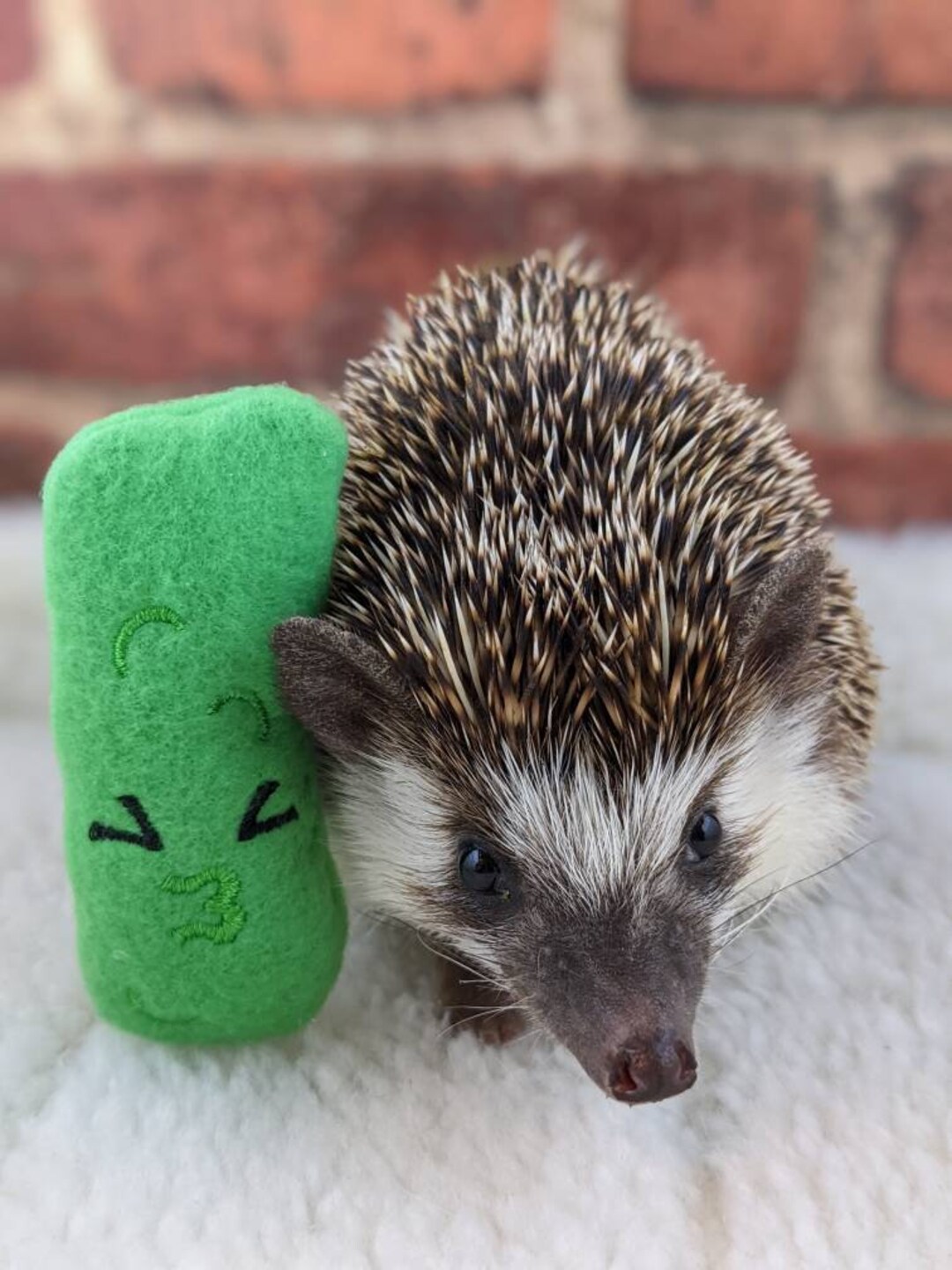 Sour Pickle Mint Stuffed Hedgehog Toy Small Animal Cage Buddy - Etsy