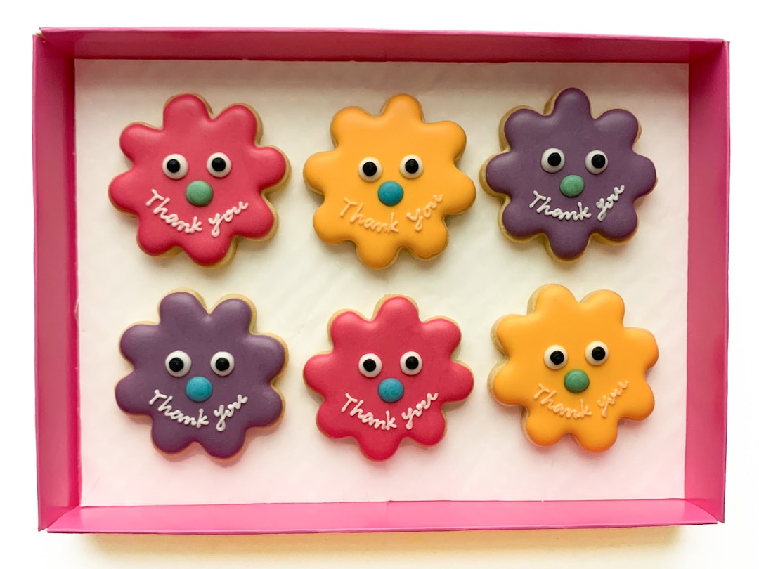 Thank You Biscuits, Love You Biscuits, Hand-iced Flower Cookies, Cookie ...