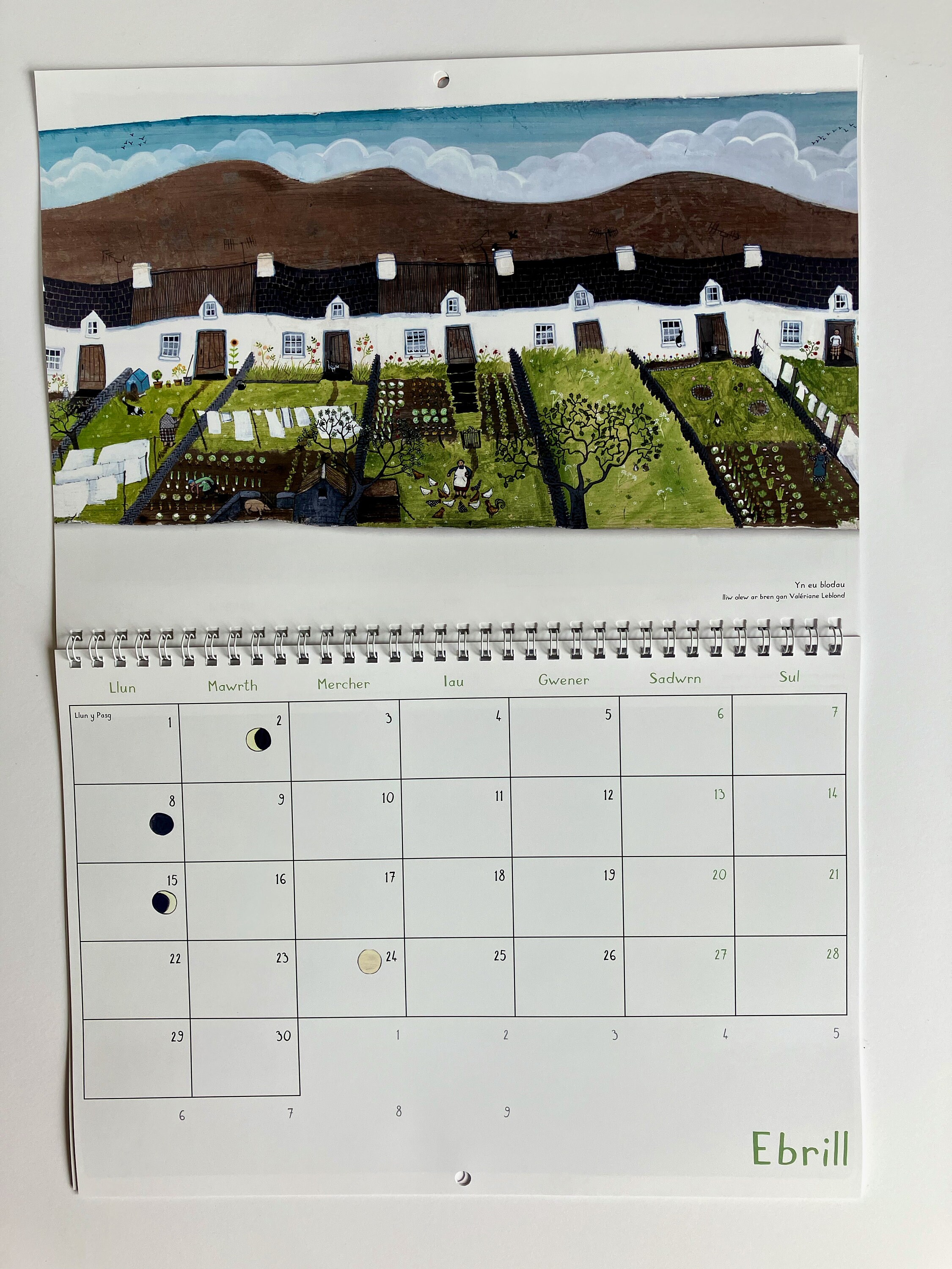 Welsh calendar 2024 - illustrated by Valriane Leblond sold by Luisa ...