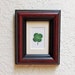 Good Luck Mahogany Frame With a Real Genuine Four Leaf Clover - Etsy