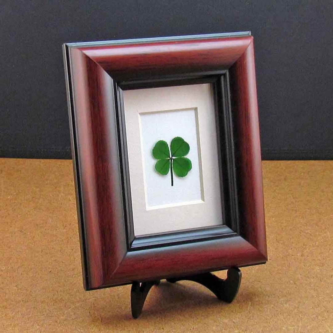 Good Luck Mahogany Frame With a Real Genuine Four Leaf Clover - Etsy