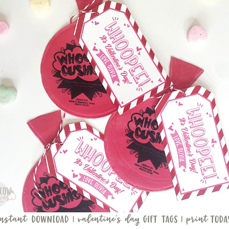 Whoopee Cushion - Etsy