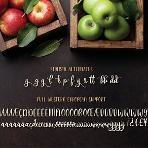 Applebutter Script Font, Handlettered Font, Hand Lettered Font, Handwritten Font, Hand Written ...