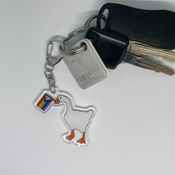 Pride Keychains - Etsy