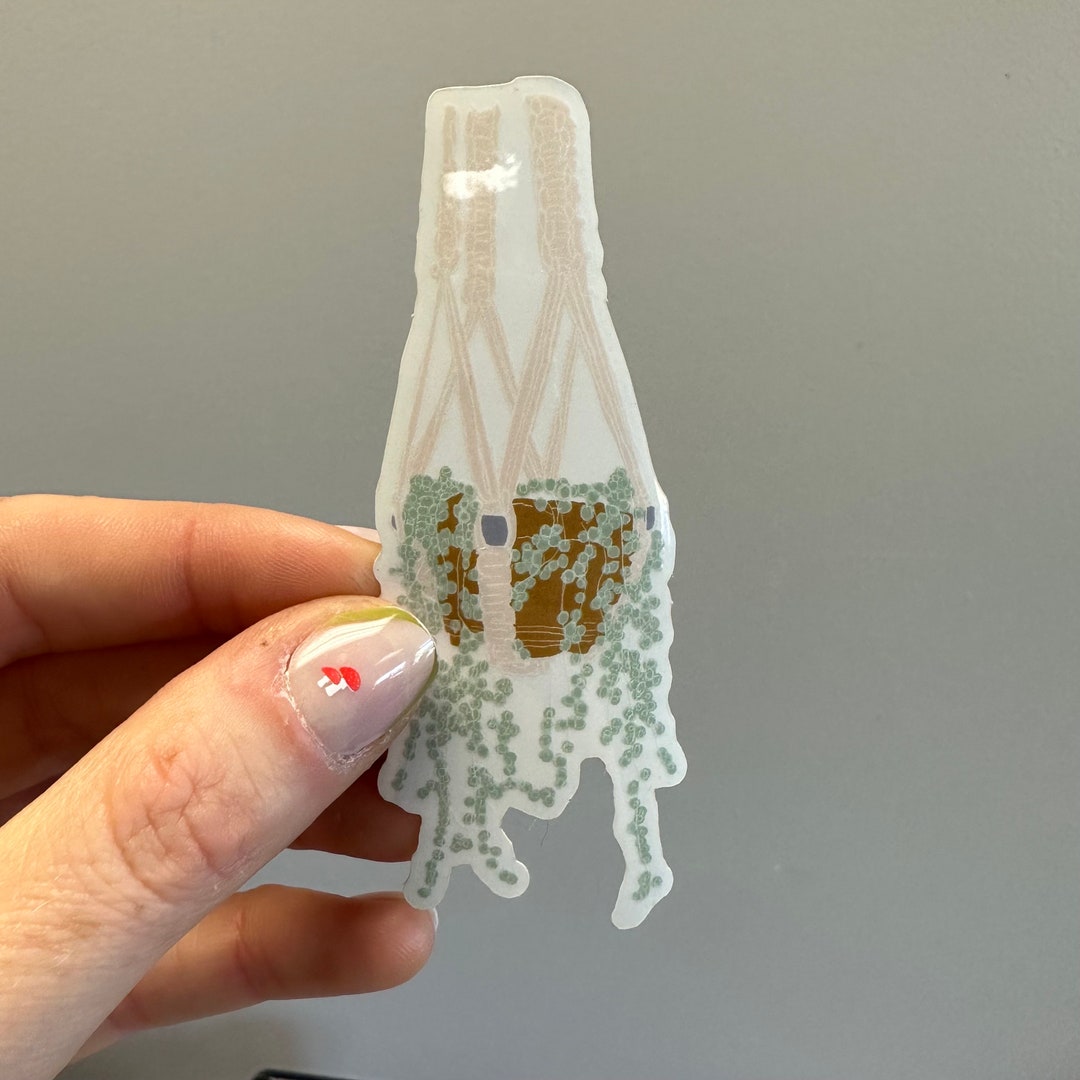 String of Pearls Hanging Plant Sticker - Etsy