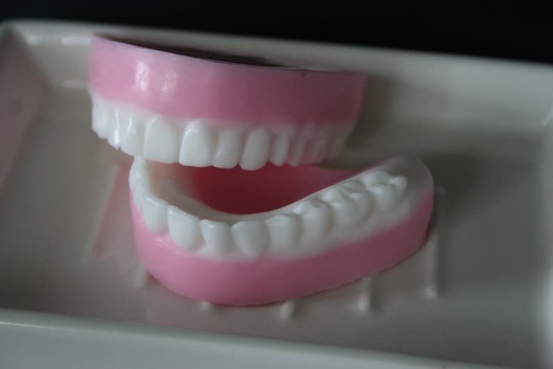 Handmade Funky Denture Teeth Soaps - Made in a Variety of Fragrances ...