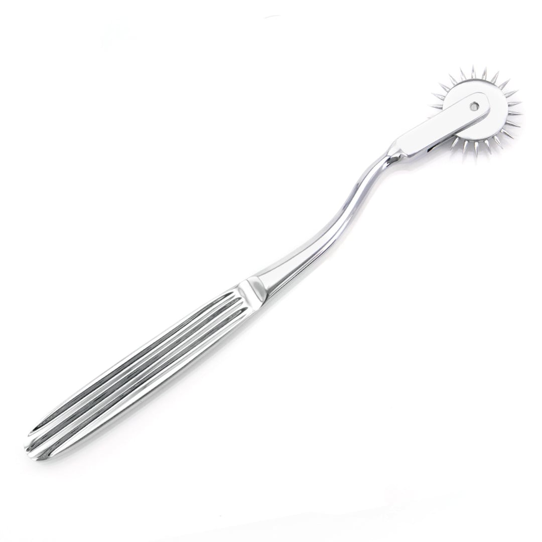 Stainless Steel Wartenberg Pinwheel for Sensory and Medical Play - BDSM ...