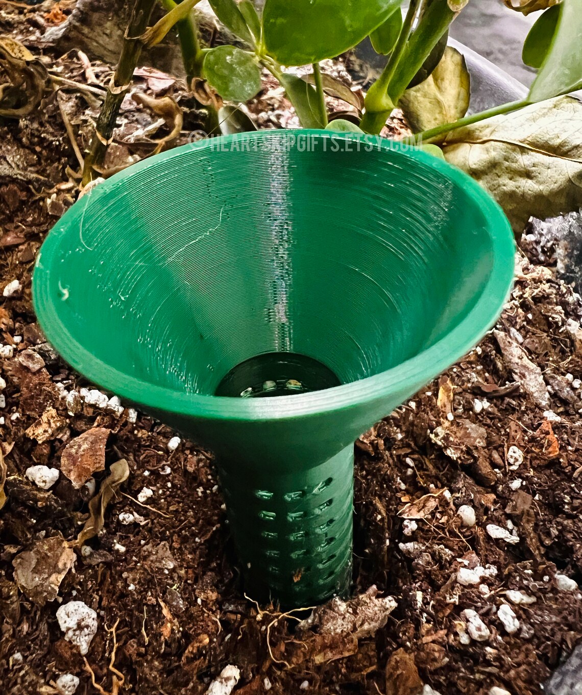 Houseplant Watering Stake: Deep Root Waterer, Plant Helper - Made in ...