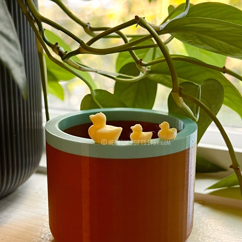 Duck Planter - Etsy