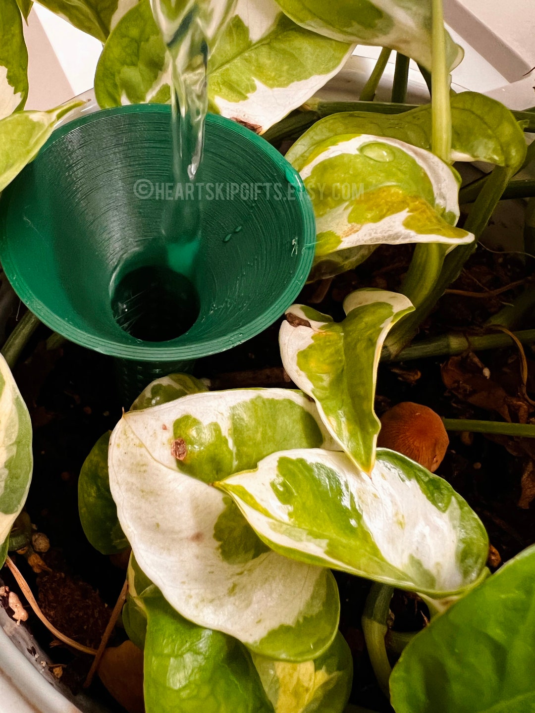 Houseplant Watering Stake: Deep Root Waterer, Plant Helper - Made in ...