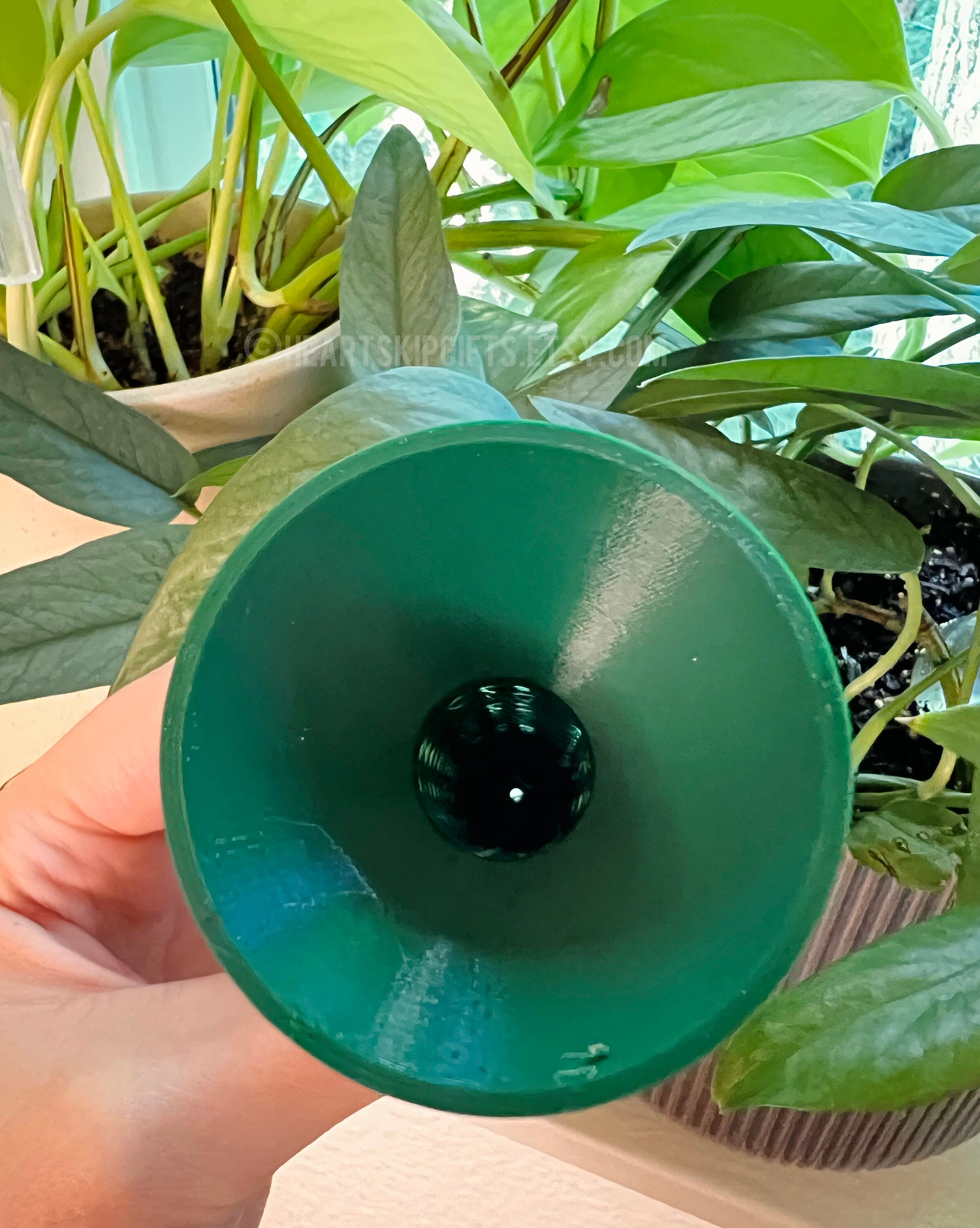 Houseplant Watering Stake: Deep Root Waterer, Plant Helper - Made in ...