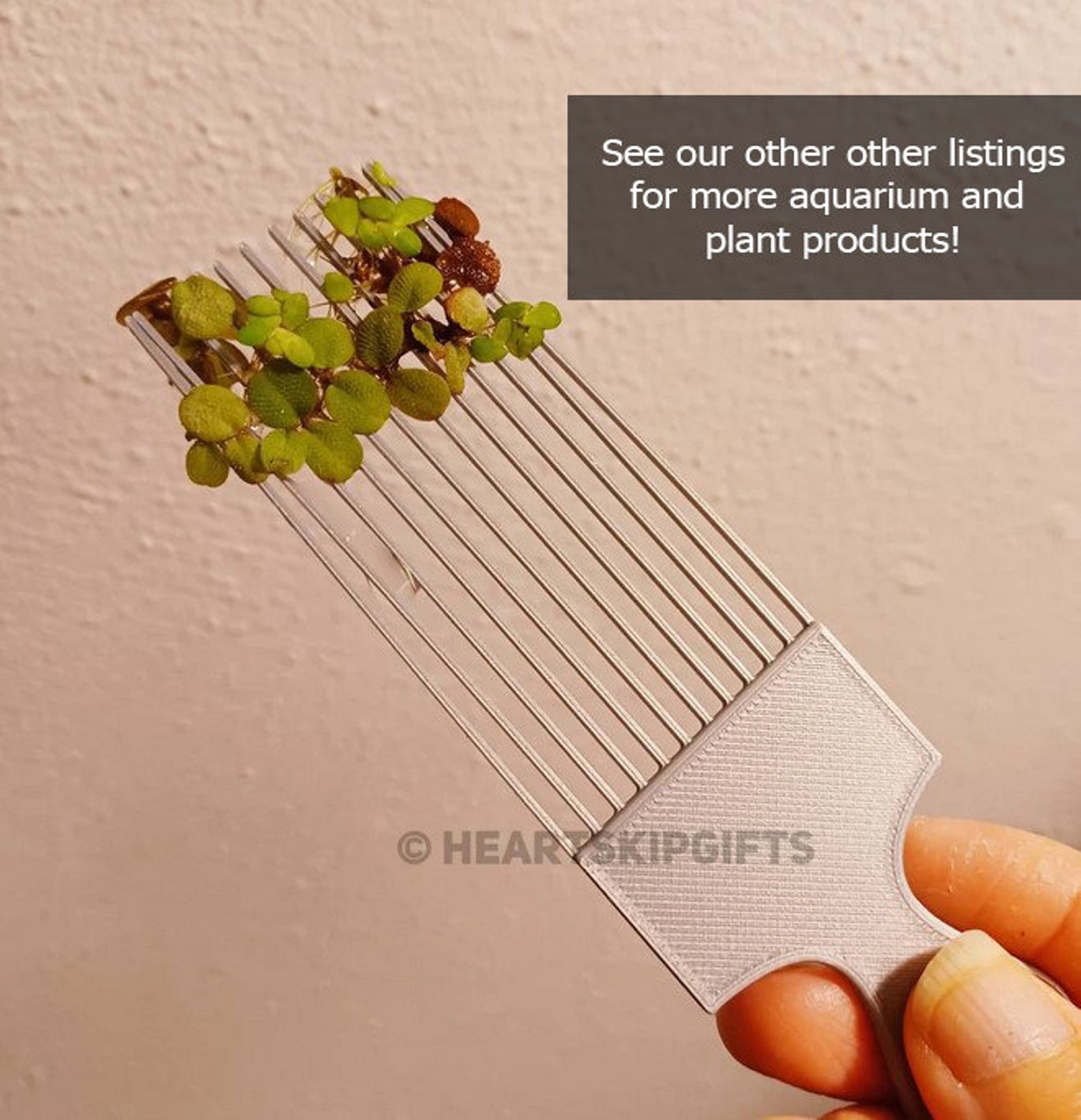 Floating Aquarium Ring Fish Feeding Ring Aquatic Plant | Etsy