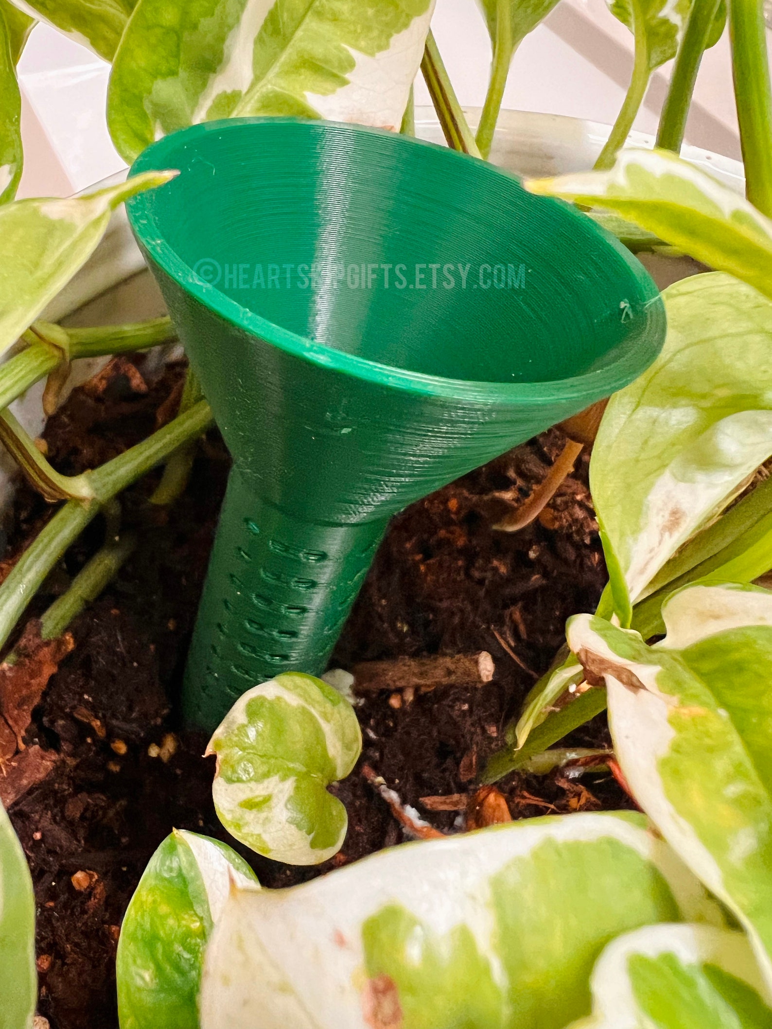 Houseplant Watering Stake: Deep Root Waterer, Plant Helper - Made in ...