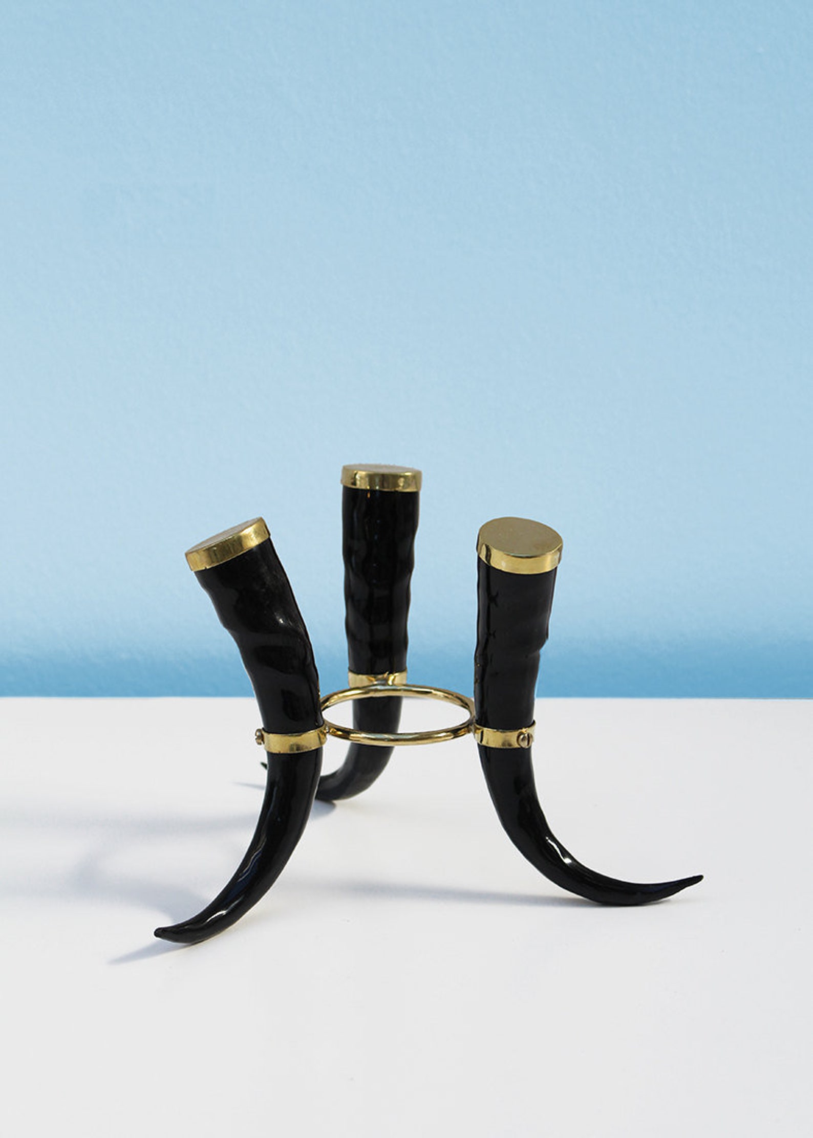 A Classic Springbok Horn Stand: Three Glossy Springbok Horns - Etsy