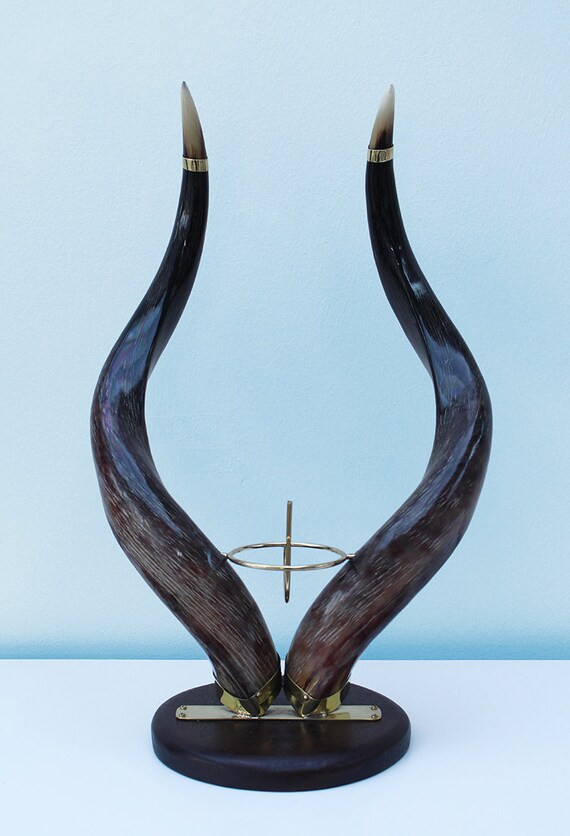 Kudu Horns