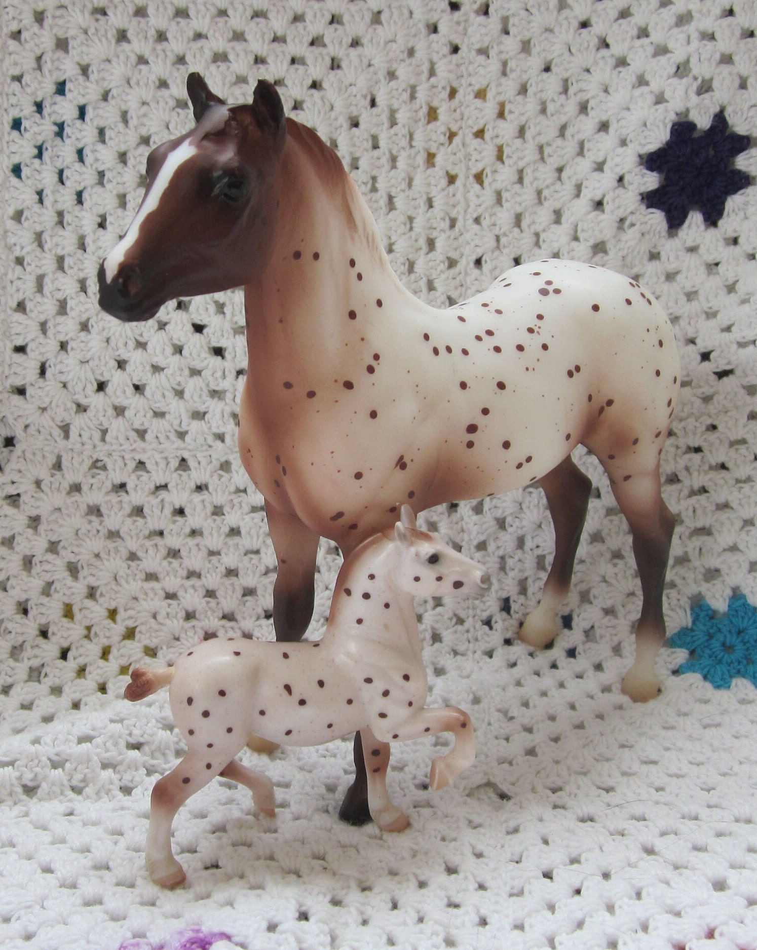 Chestnut Leopard Appaloosa