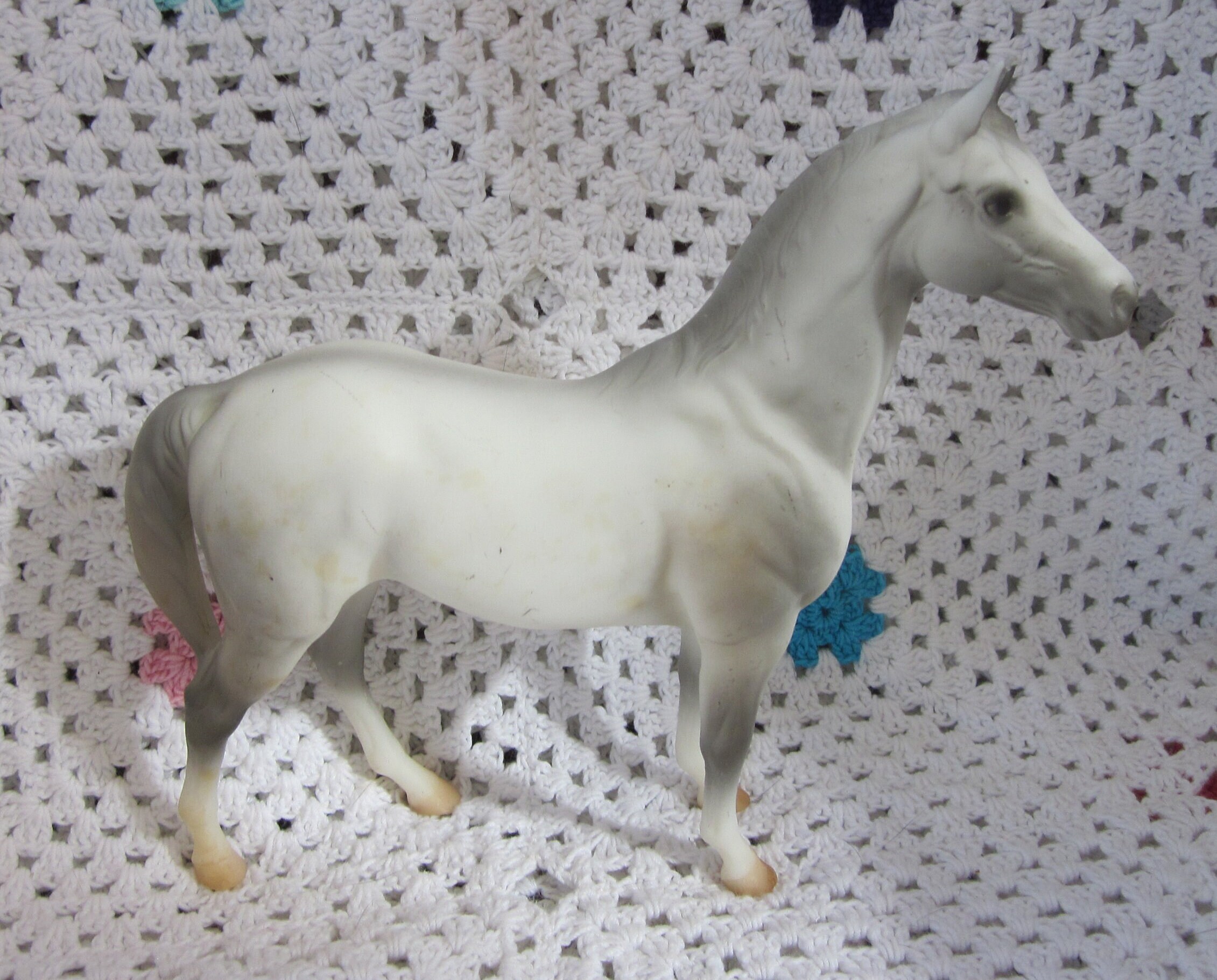 Light Grey Thoroughbred